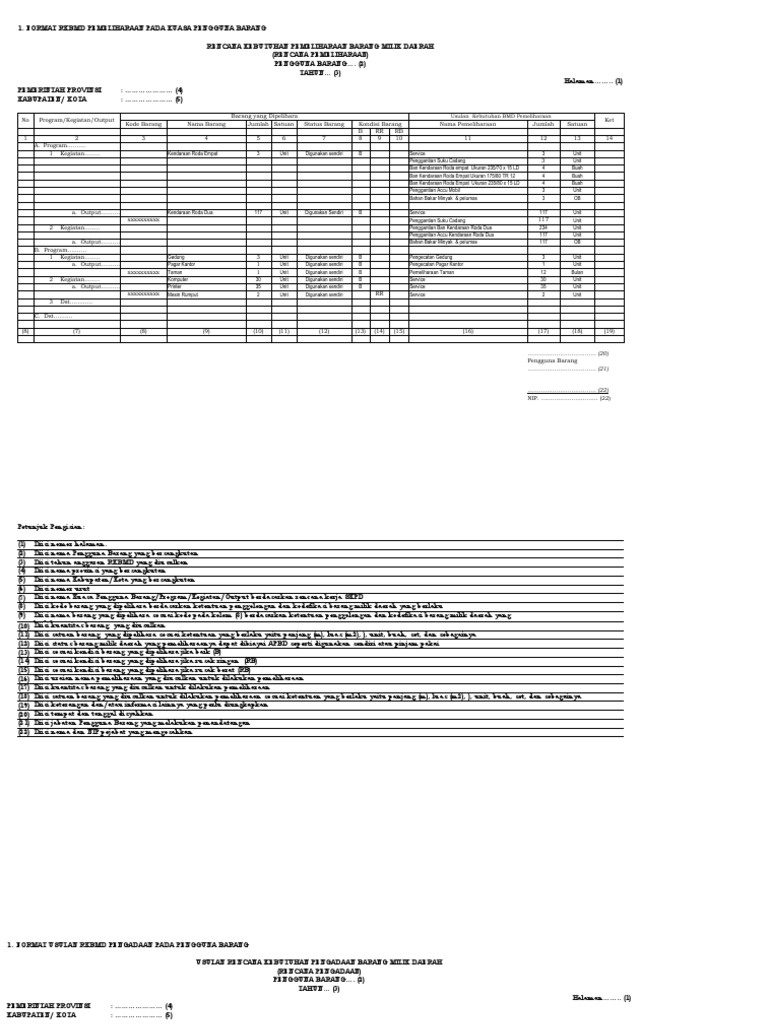 Format Dan Cara Pengisian RKBMD TH 2022 | PDF
