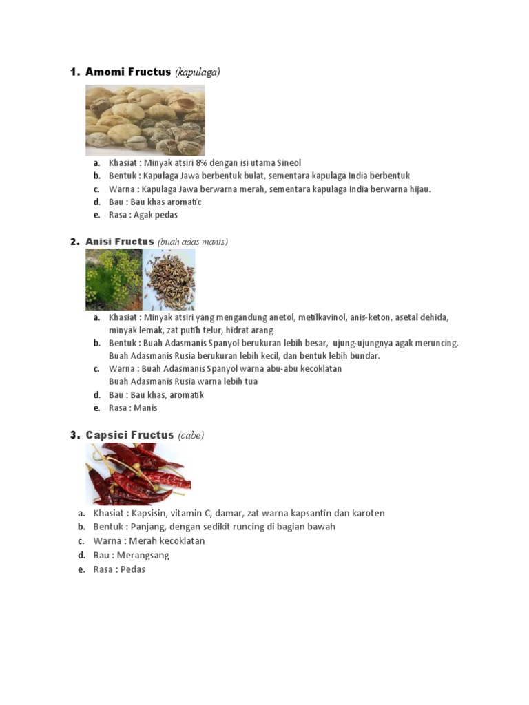Laporan Hasil Pengamatan Fructus | PDF