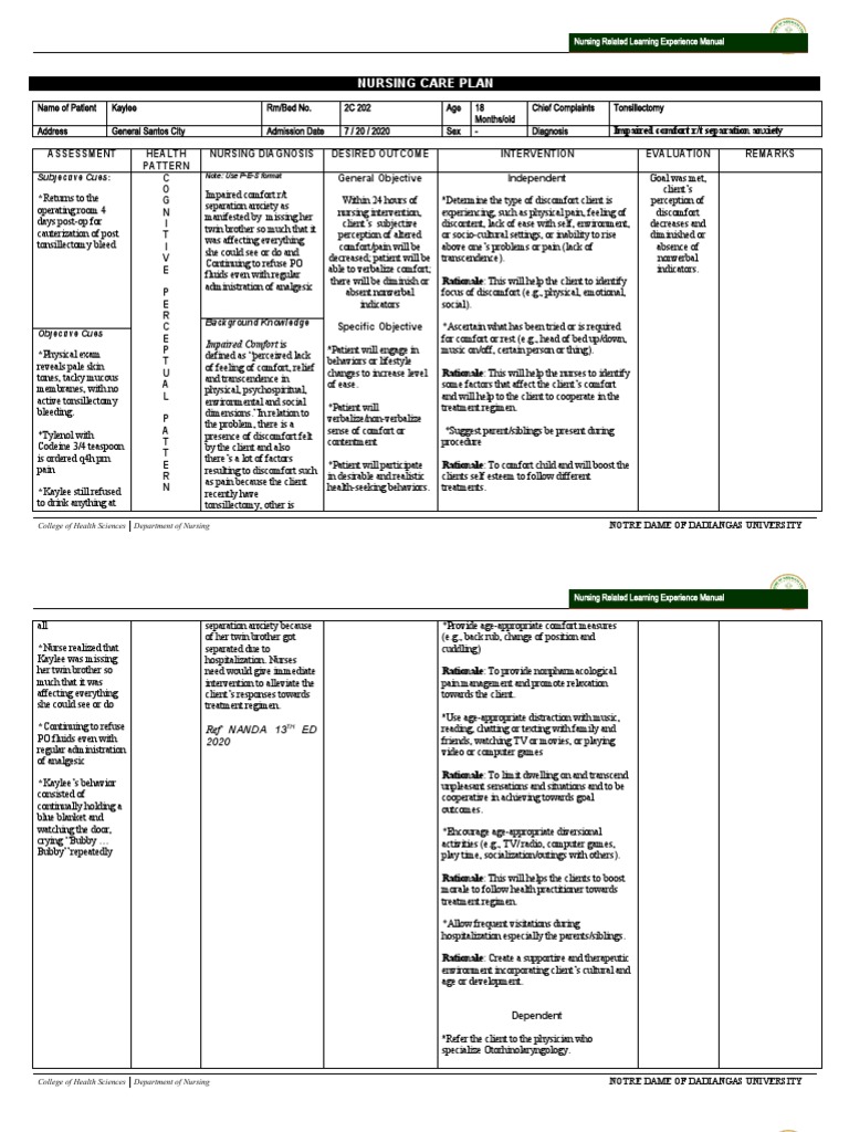 Nursing Care Plan: Subjective Cues | PDF | Pain | Nonverbal Communication