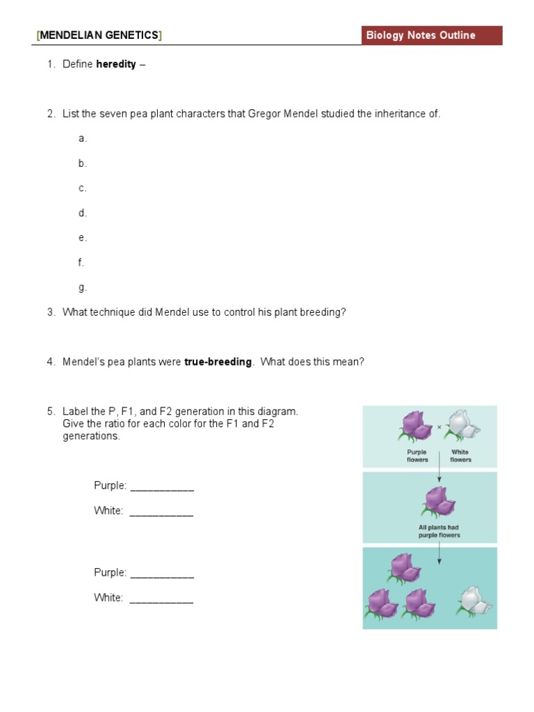 Mendelian Genetics: Biology Notes Outline | PDF | Dominance (Genetics ...