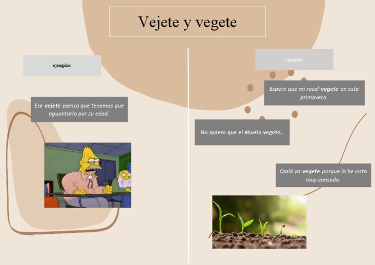 Vegete y Vejete | PDF