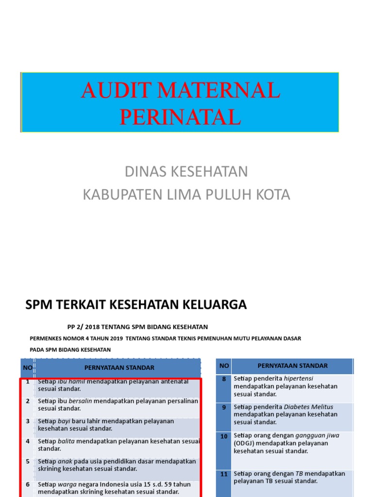 Audit Maternal Perinatal | PDF