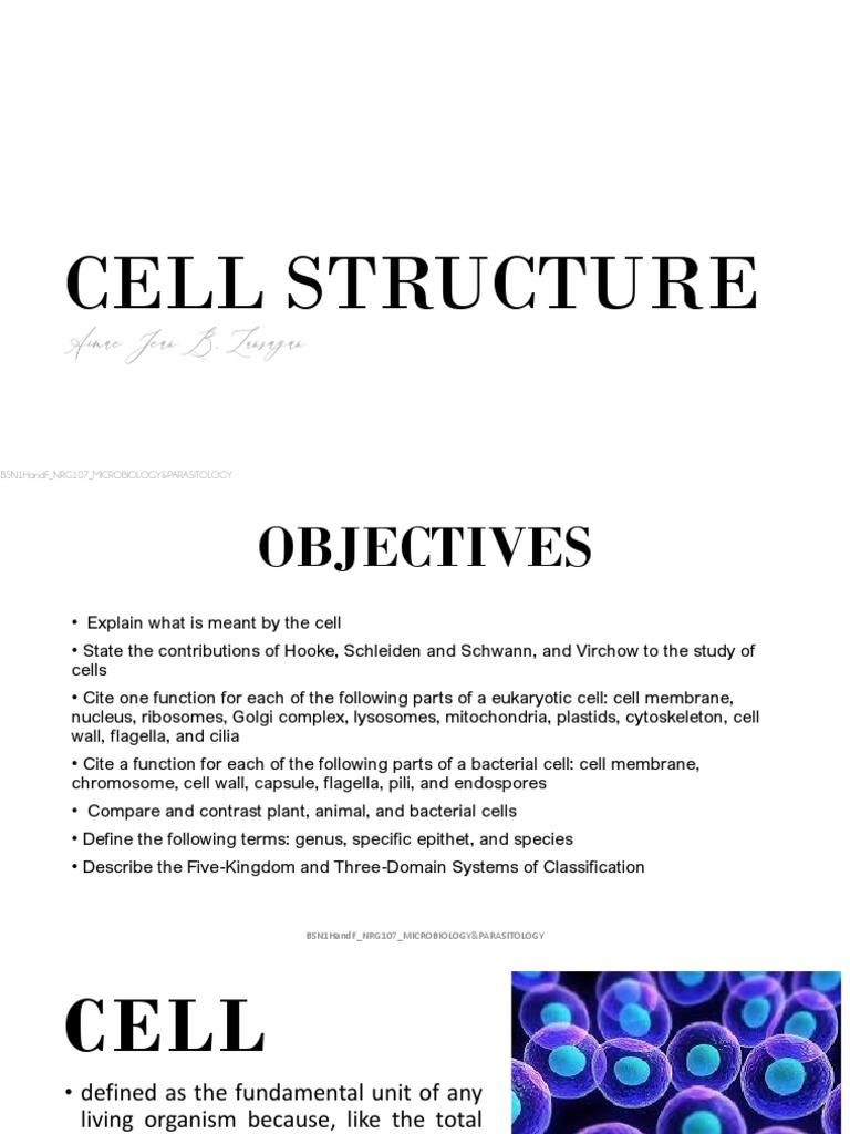 4 Cell Structure | PDF | Cell (Biology) | Bacteria