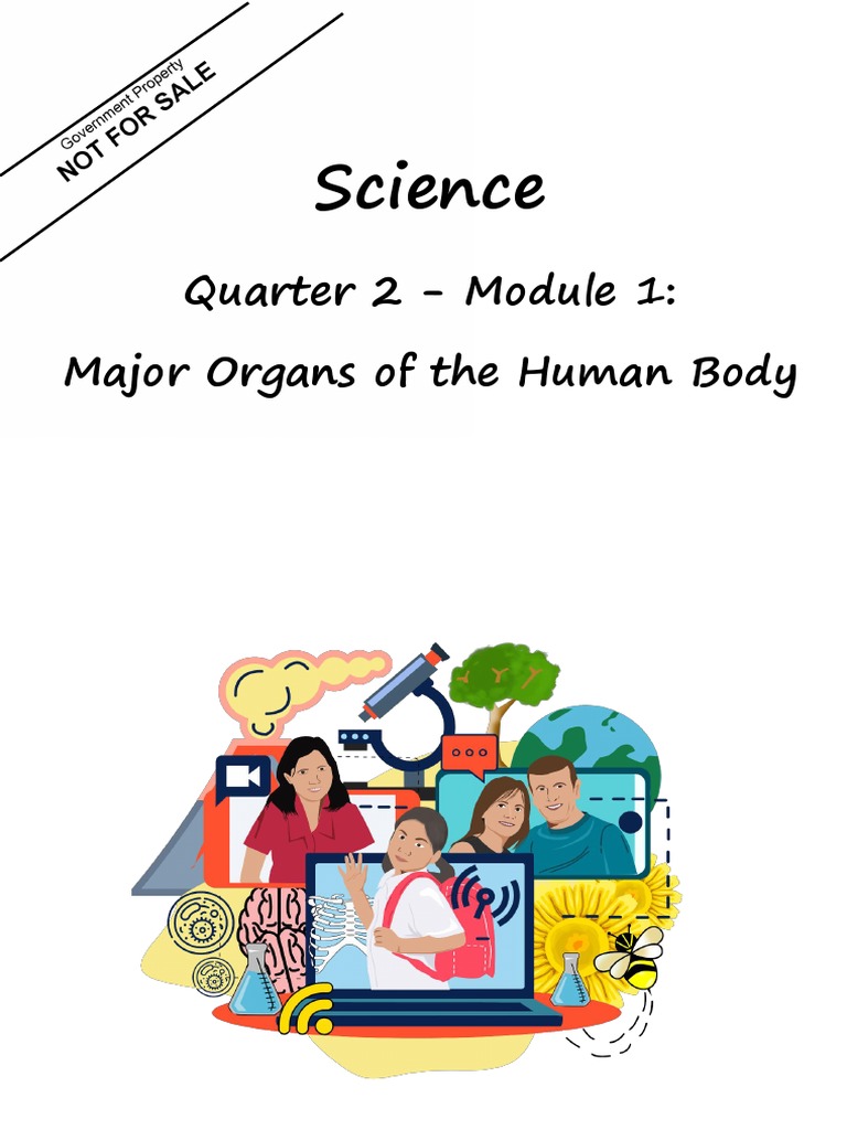 Major Human Organs: Skeletal, Digestive, Urinary & Cardiorespiratory ...