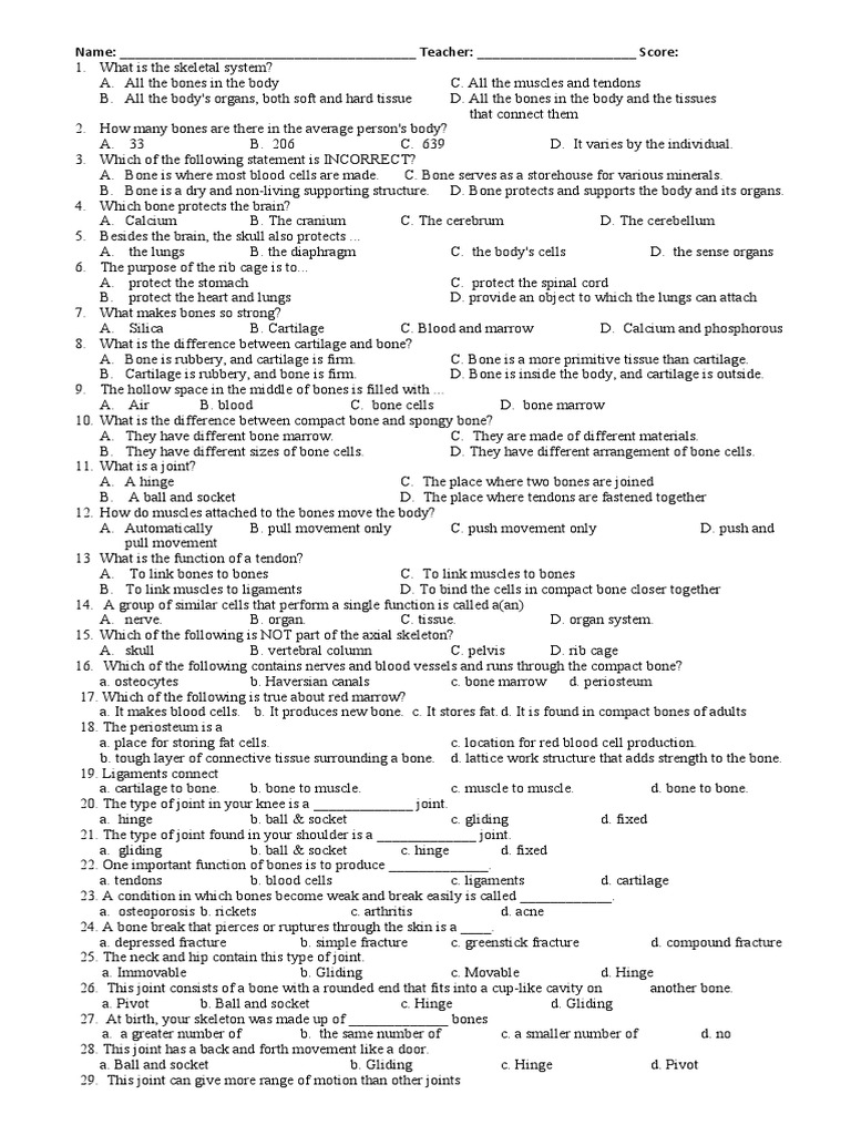 Skeletal System Unit Test | PDF | Bone | Skeleton