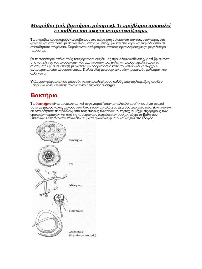 τεχνολογια εργασια | PDF