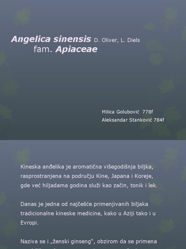 Angelica Sinensis | PDF