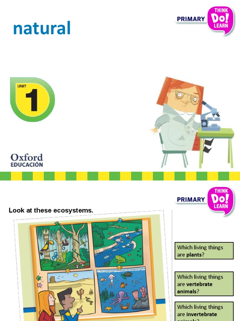 Presentación Tema 1 Sciences Oxford 4 Primaria | PDF | Invertebrate ...