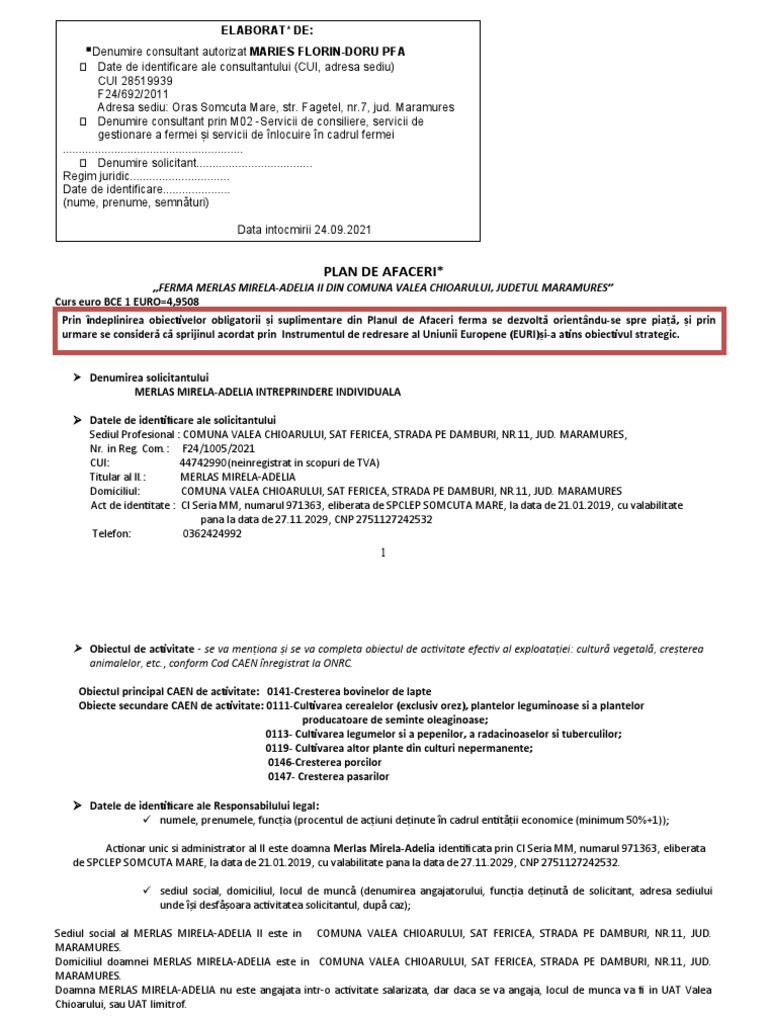 Anexa 3 - Model Plan de Afaceri SM 6.3 | PDF