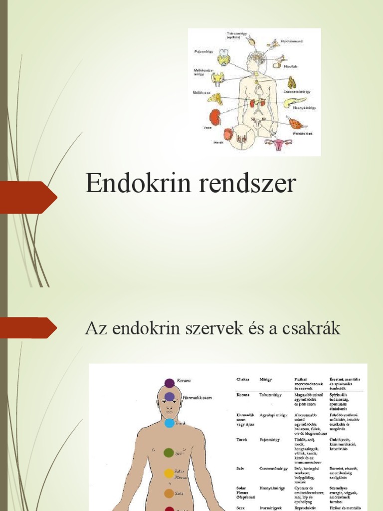 Az Endokrin Rendszer | PDF
