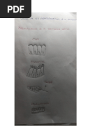 Complejo SNARE y fusión de membranas | PDF | Ácido gamma-aminobutírico ...