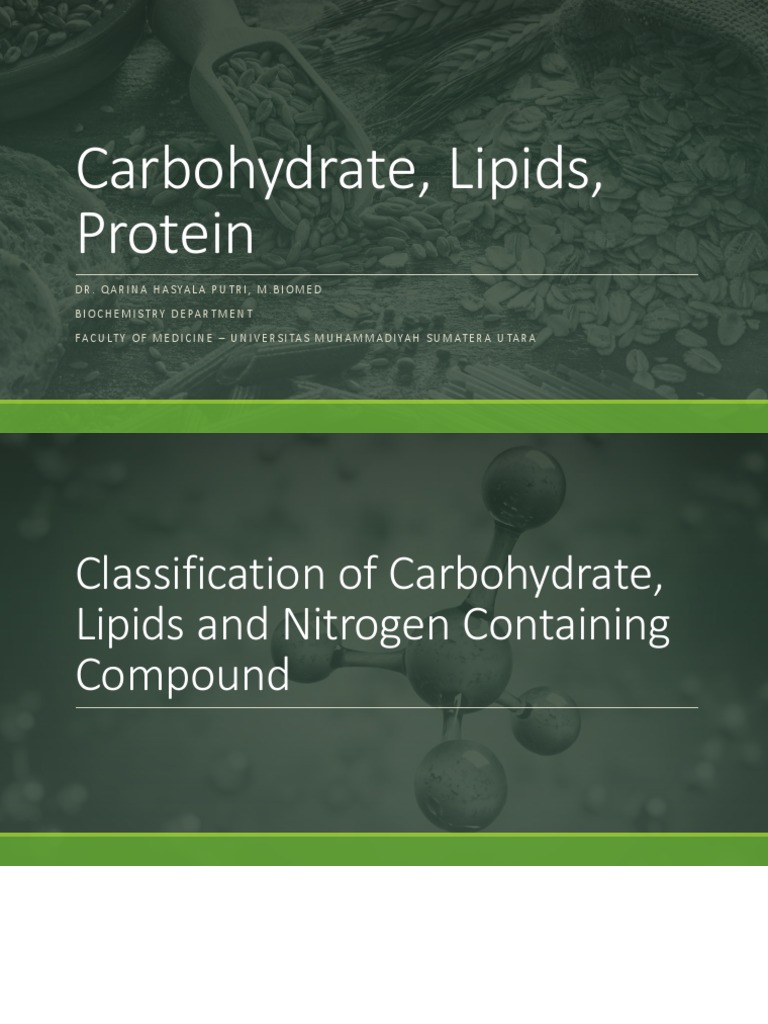 Carbohydrate, Lipids, Protein | PDF
