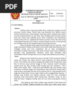 Batu Rijang Dan Proses Pembentukannya | PDF | Ilmu Sosial