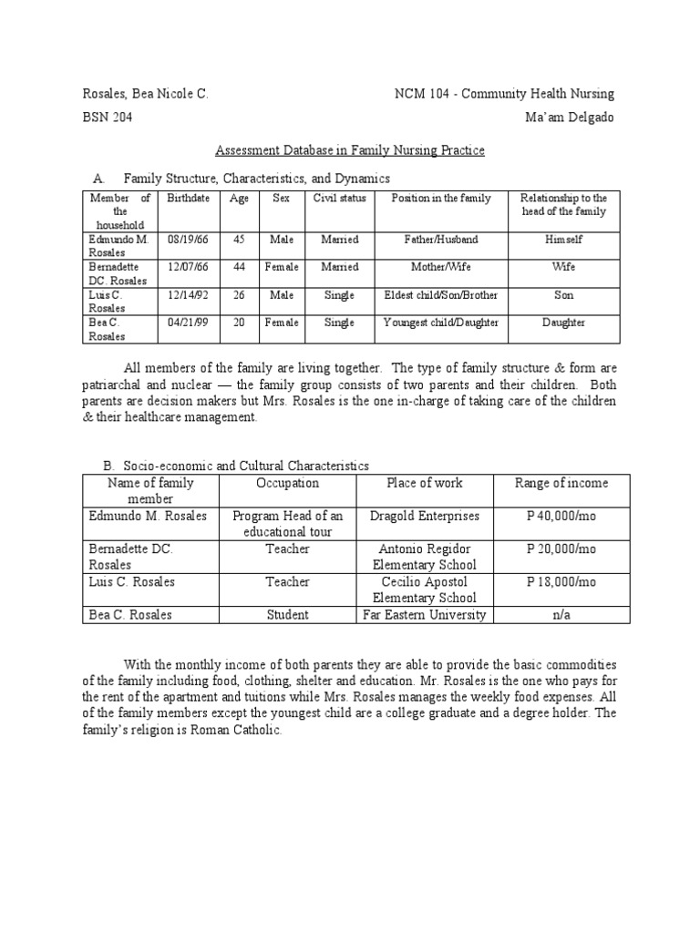 Initial Data Base For Family Nursing Practice | PDF | Bathroom | Kitchen