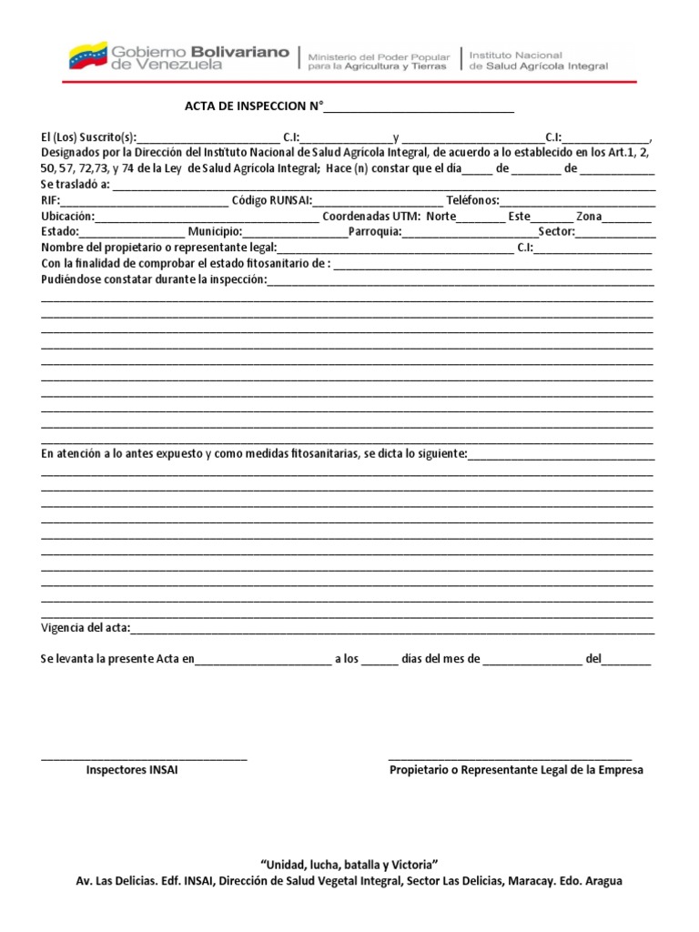 Nueva Acta de Inspeccion Insai | PDF