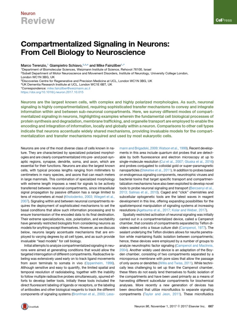 Compartmentalized Signaling in Neurons - From Cell Biology To ...