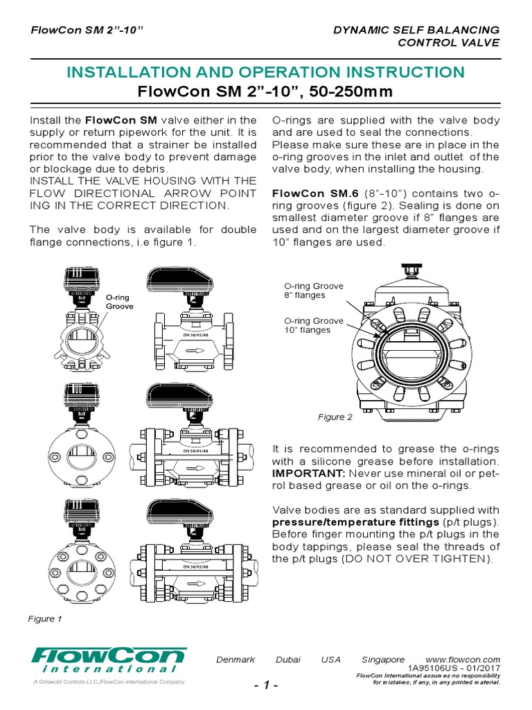 Griswold Flowcon SM Pic V 2 To 10 Iom | PDF | Valve | Flow Measurement