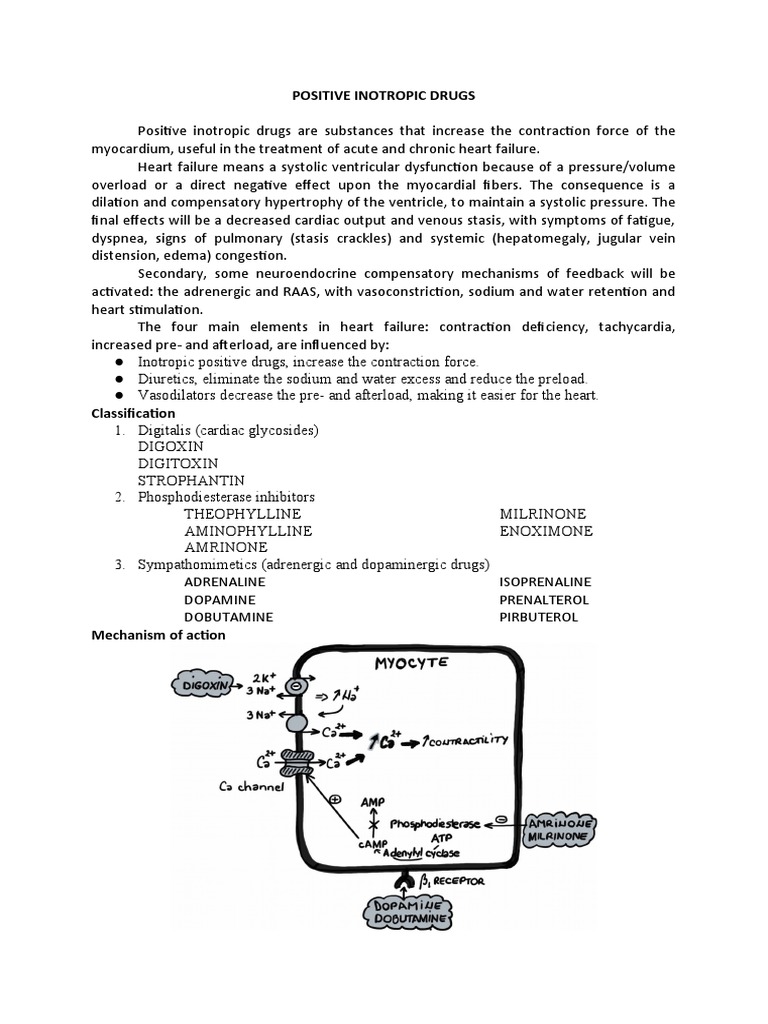 LECTURE 9 Positive Inotropic | PDF | Heart | Heart Failure
