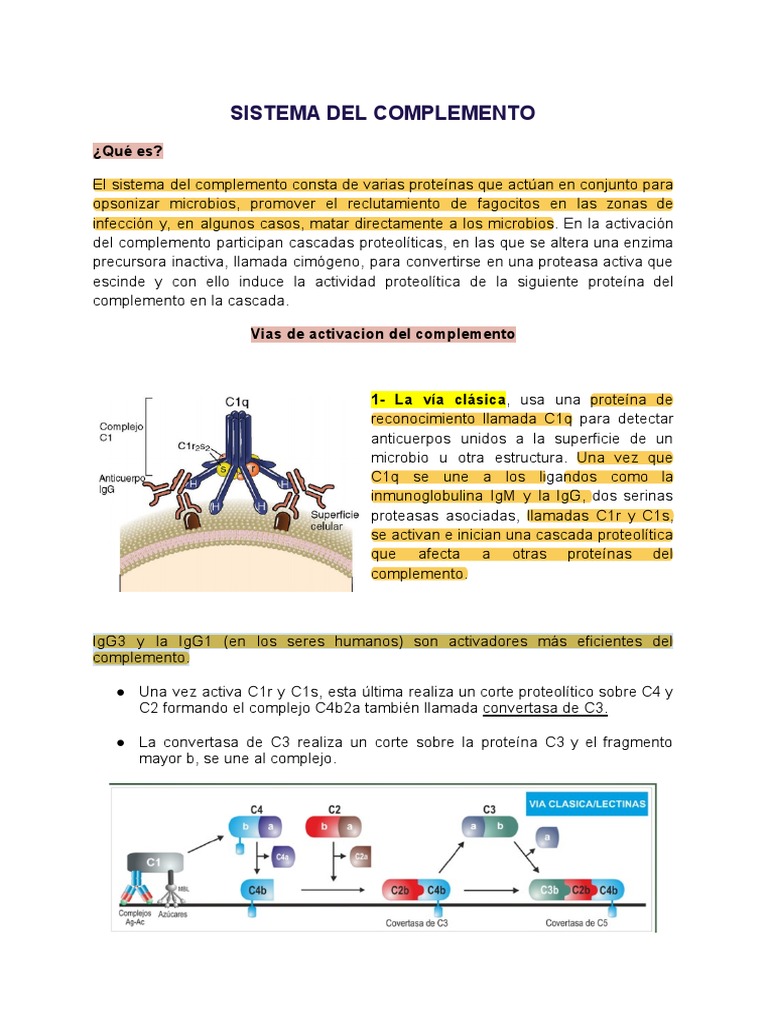 Componentes Moleculares | PDF | Sistema complementario | Citocina
