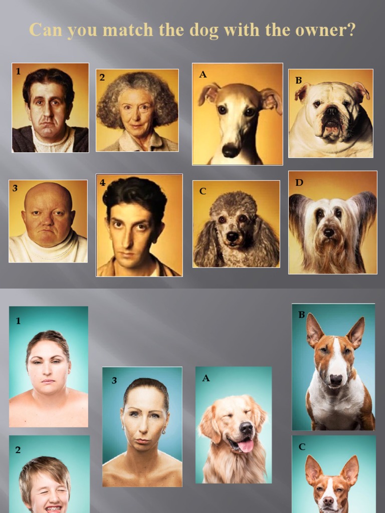 Can You Match The Dog With The Owner | PDF