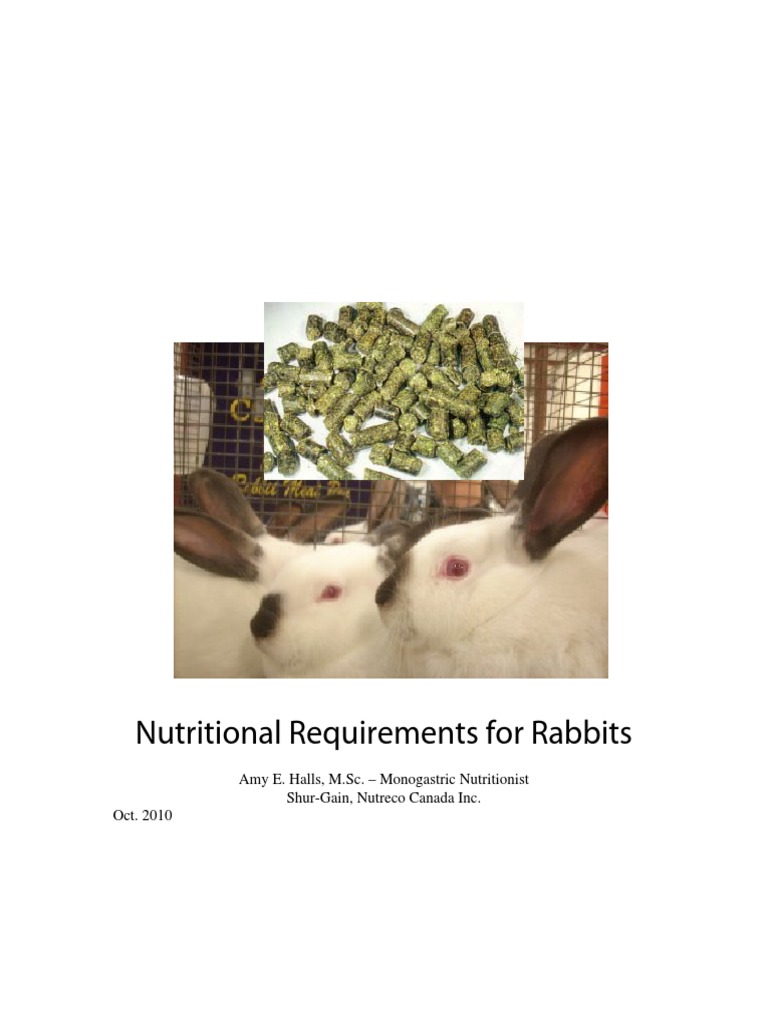 Rabbit Nutritional Requirements Overview | PDF | Vitamin | Nutrients