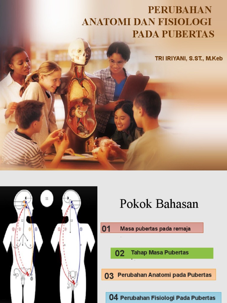 1 Perubahan Anatomi Dan Fisiologi Pada Pubertas | PDF