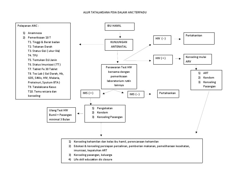 Alur Tatalaksana Anc Terpadu PKM | PDF