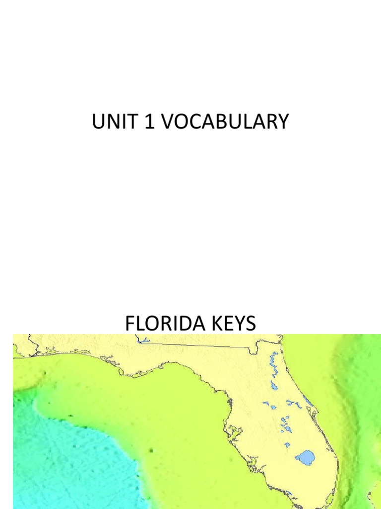 Unit 1 Vocabulary | PDF