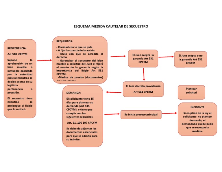 Esquema Medida Cautelar de Secuestro Jorge Rio 2021 | PDF