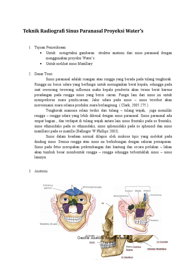 Sinus Paranasal Proyeksi Water NN | PDF