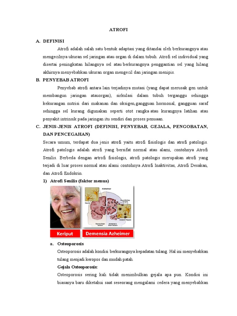 Atrofi 1-1 | PDF