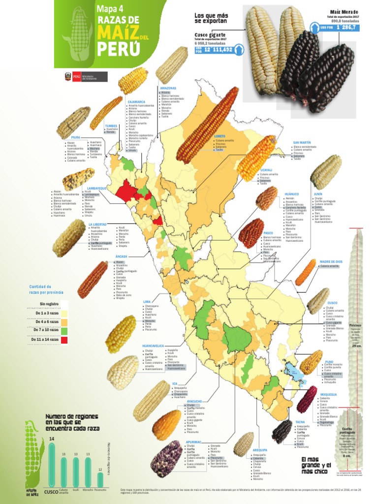 Info Maiz | PDF | Perú | América del Sur