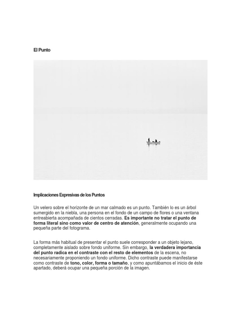 El Punto | PDF | Percepción