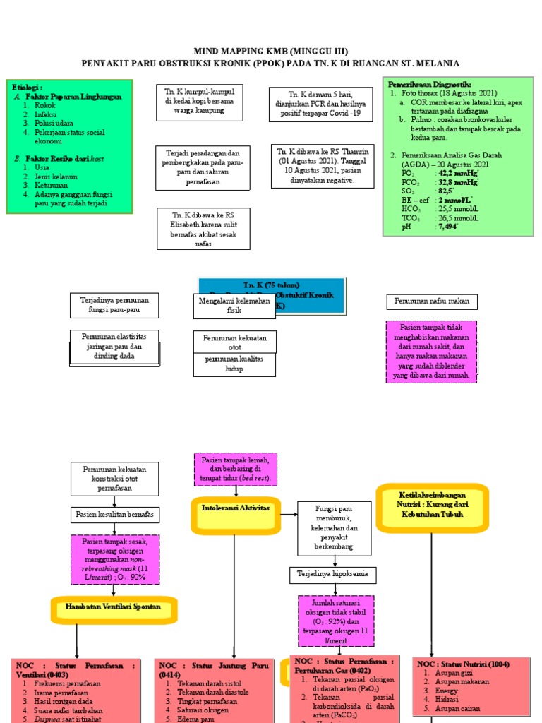 Mind Mapping KMB Minggu 3 Ppok - Melina Cecilia Tarigan - 052021051 | PDF