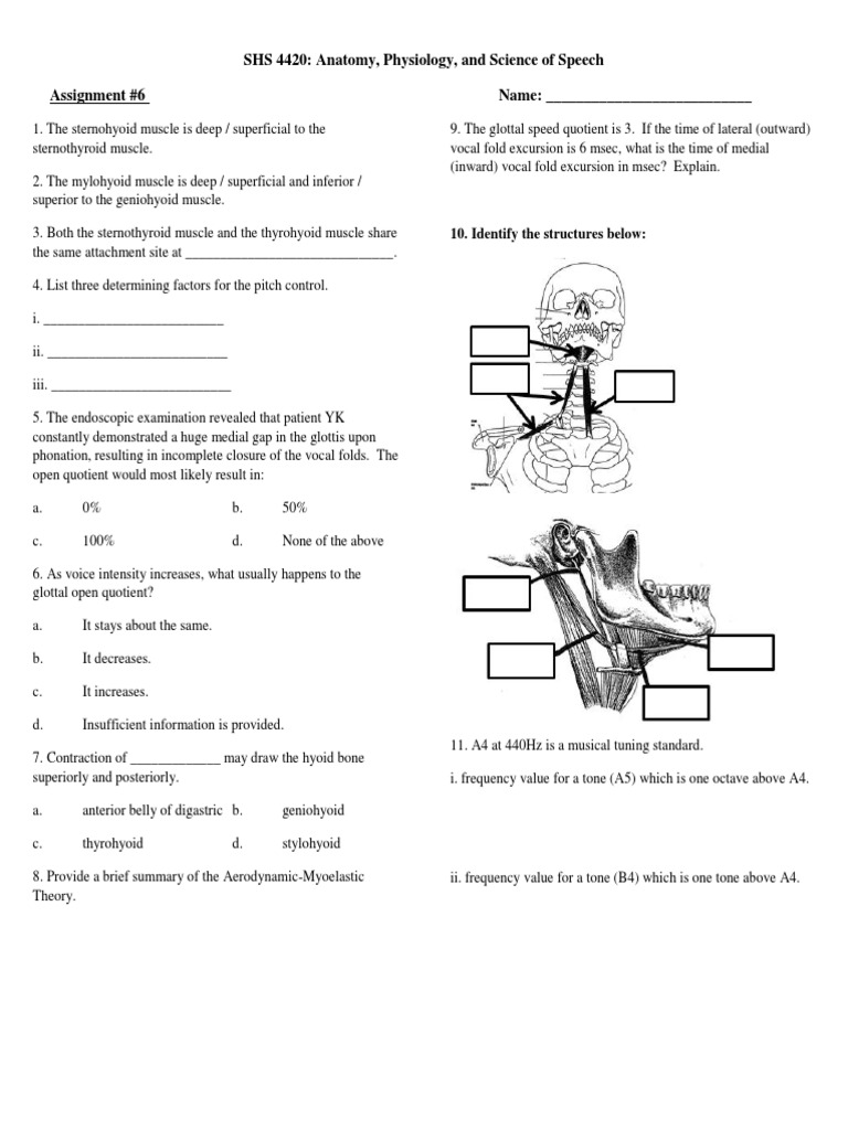 SHS 4420: Anatomy, Physiology, and Science of Speech Assignment #6 Name ...
