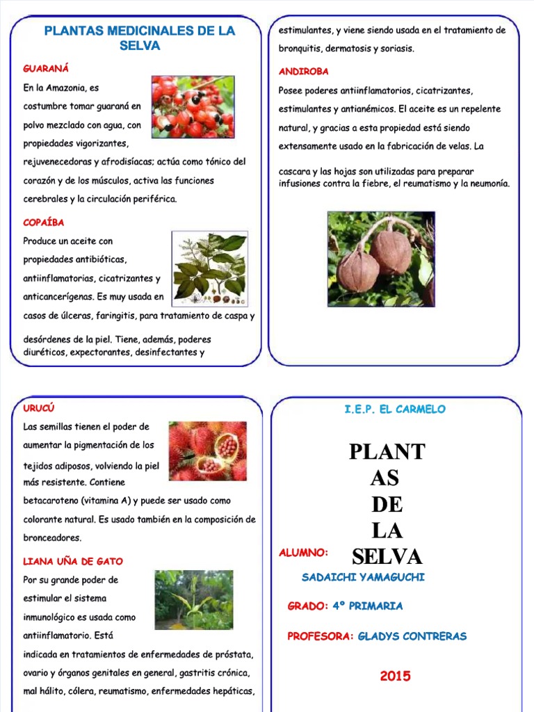 Plantas Medicinales de La Selva | PDF | Especialidades Medicas ...