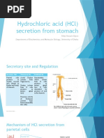 Functions and Composition of Succus Entericus | PDF | Digestive System ...