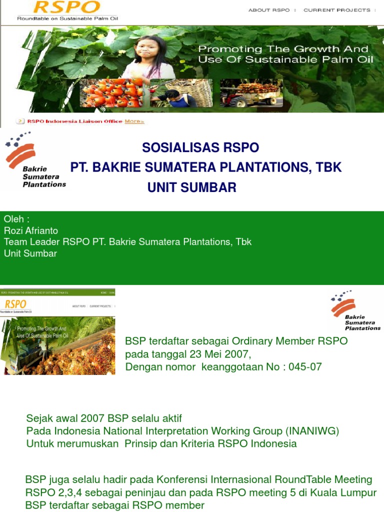 Prinsip dan Kriteria RSPO 2024 | PDF