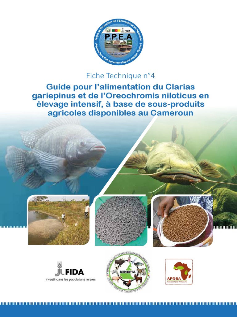 Alimentation Intensif Poissons Cameroun | PDF | Aquaculture | Nutriments