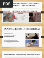 PALESTESIA Definicion y Exploración | PDF | Mano | Sistema ...