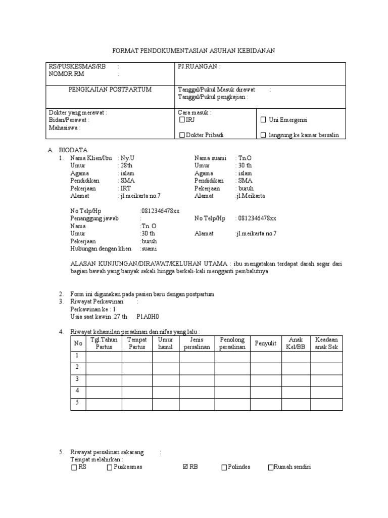 Format Pendokumentasian Tentang PNC | PDF