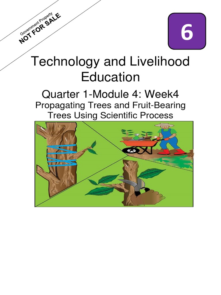 Tle Quarter 1 Module 4 Pdf Pdf Grafting Plants
