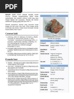 Deret Reaksi Bowen dalam Mineral Batuan | PDF