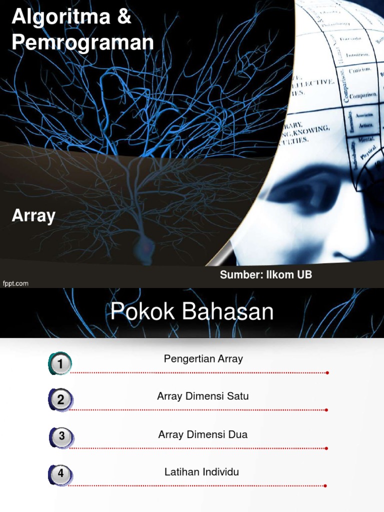 04 Array | PDF
