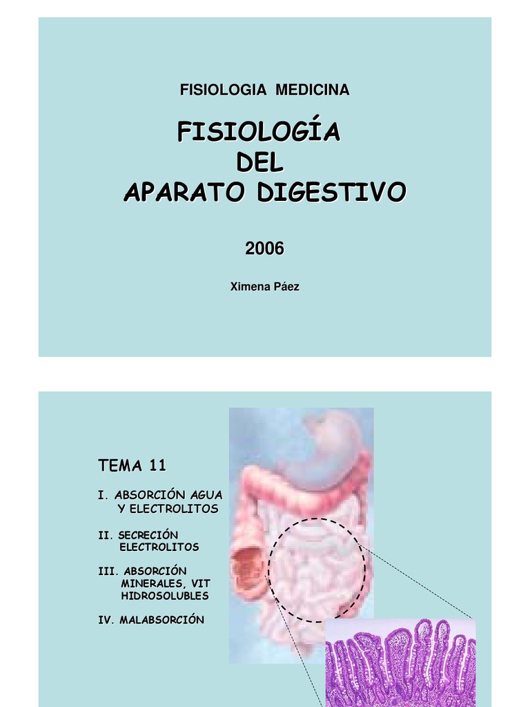 Absorción de Agua y Electrolitos | PDF | Digestión | Ósmosis