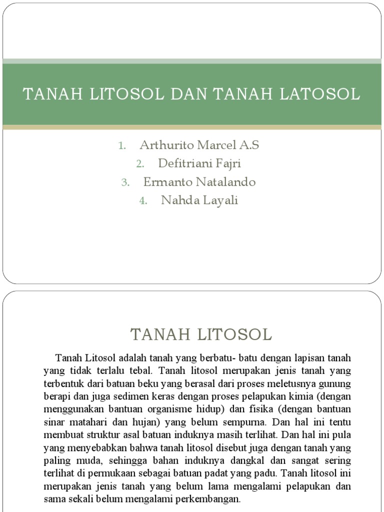 Litosol Dan Latosol | PDF | Griya & Taman