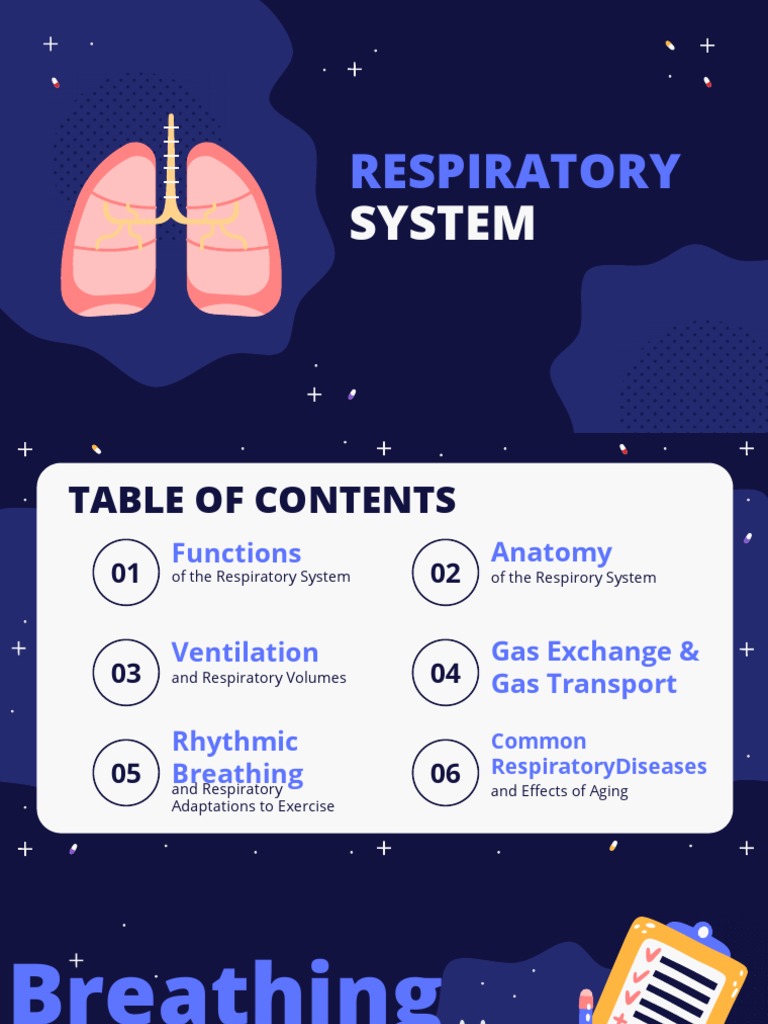 Respiratory System Anatomy | PDF | Respiratory Tract | Human Nose