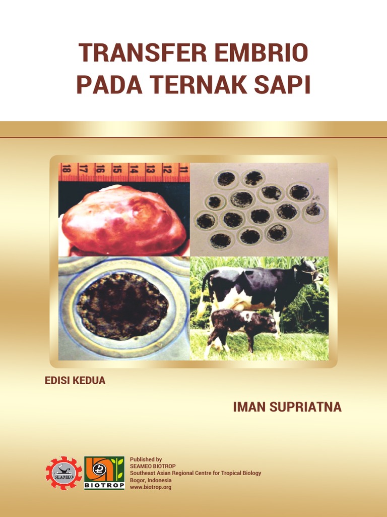 Transfer Embrio Pada Ternak Sapi | PDF