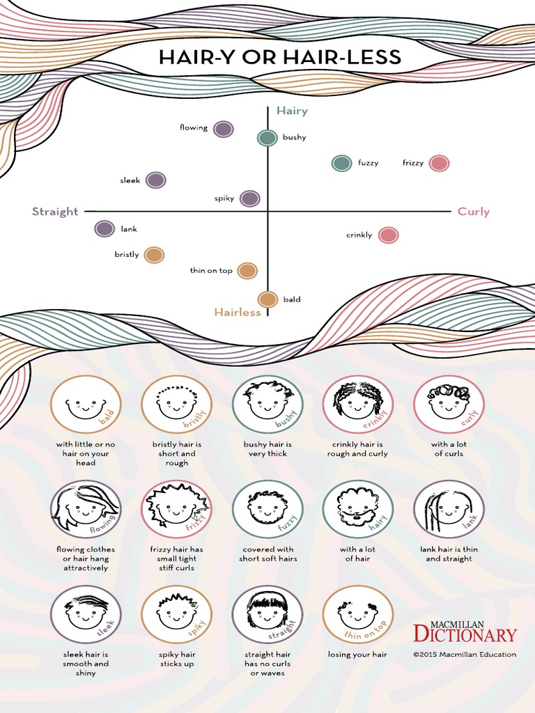 Infographics Hairstyles | PDF