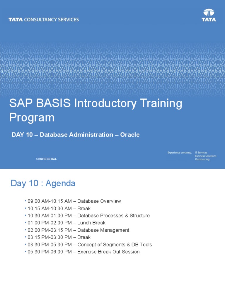 Sap Basis Introductory Training Program Day10 | PDF | Cache (Computing) | Databases
